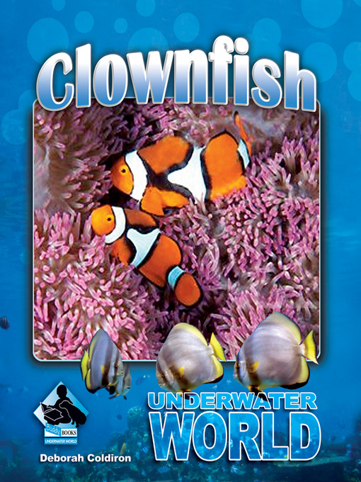 Libby - Clownfish